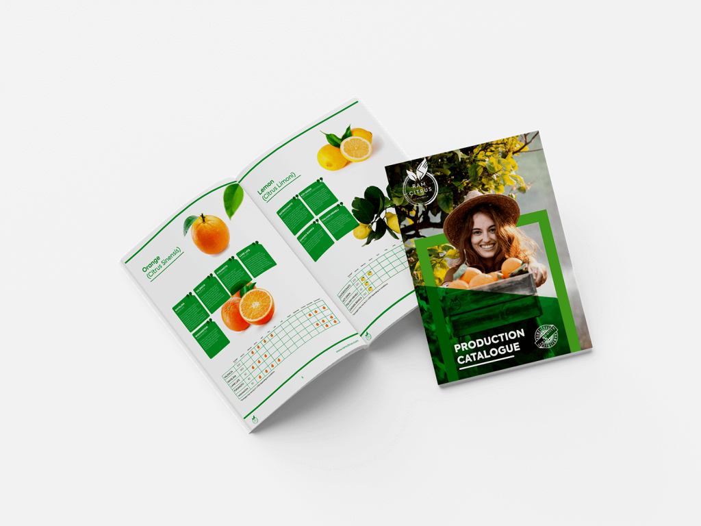 Production of Pectin from Citrus Peel: Extraction Methods ...